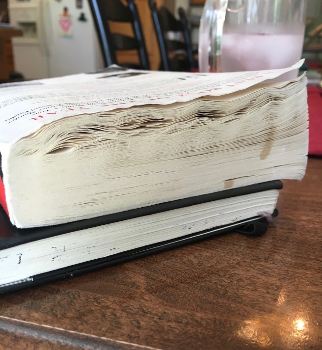 Lit by Mary Karr – Helen of Troyer